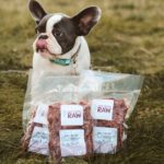 For Your Dog – Alpine Ranch